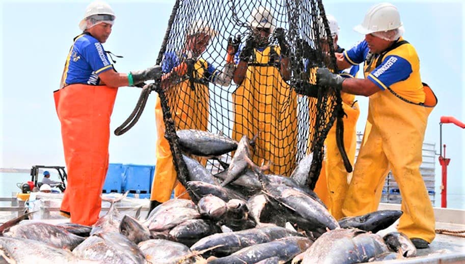 El pescado, el alimento que más se consume en Semana Santa – Orfetv.com